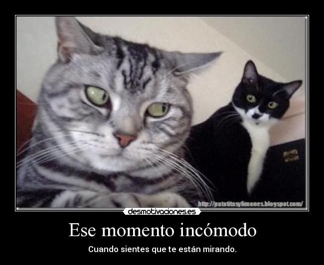 Ese momento incómodo | Desmotivaciones